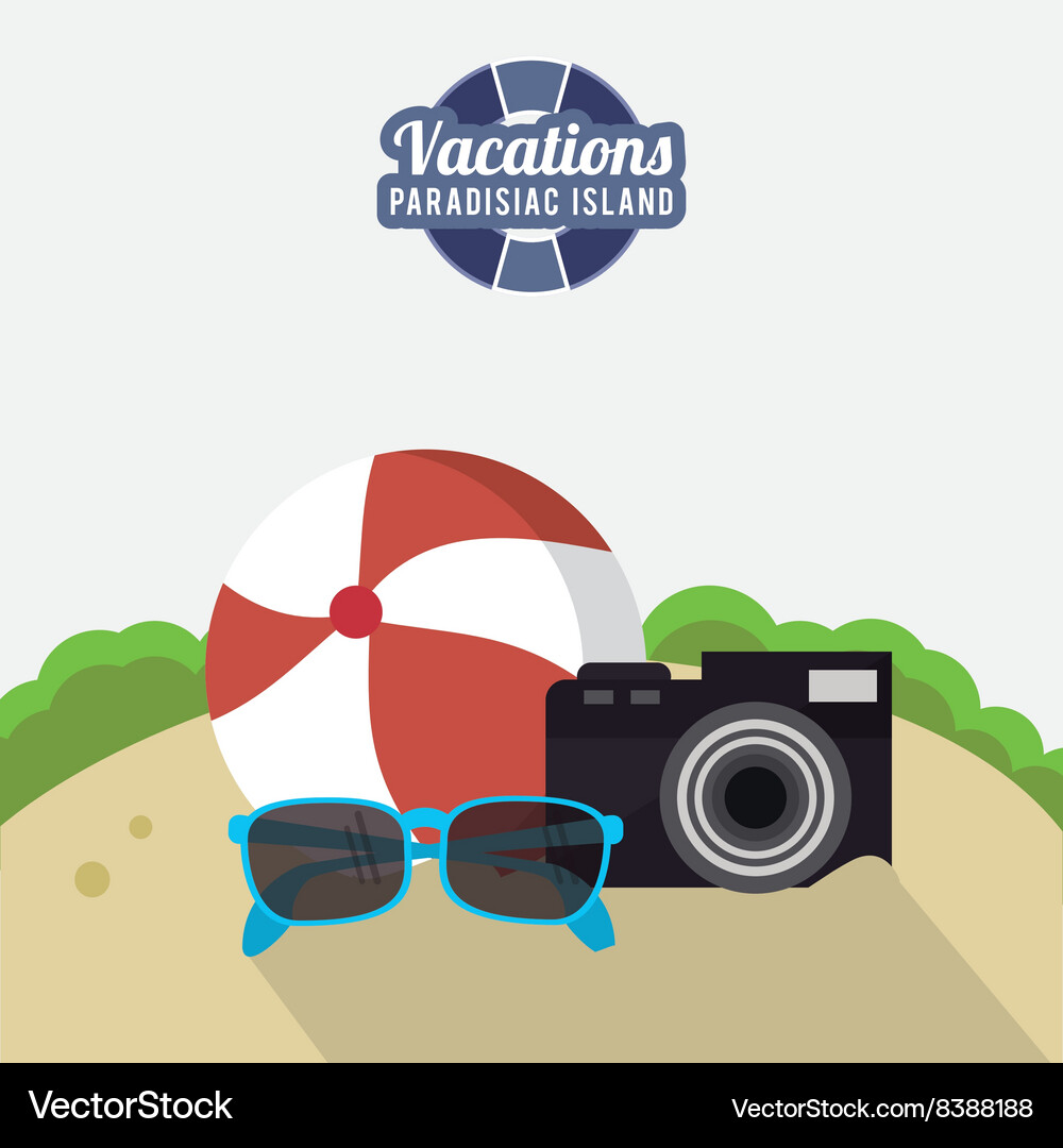 Icon of vacations design Royalty Free Vector Image