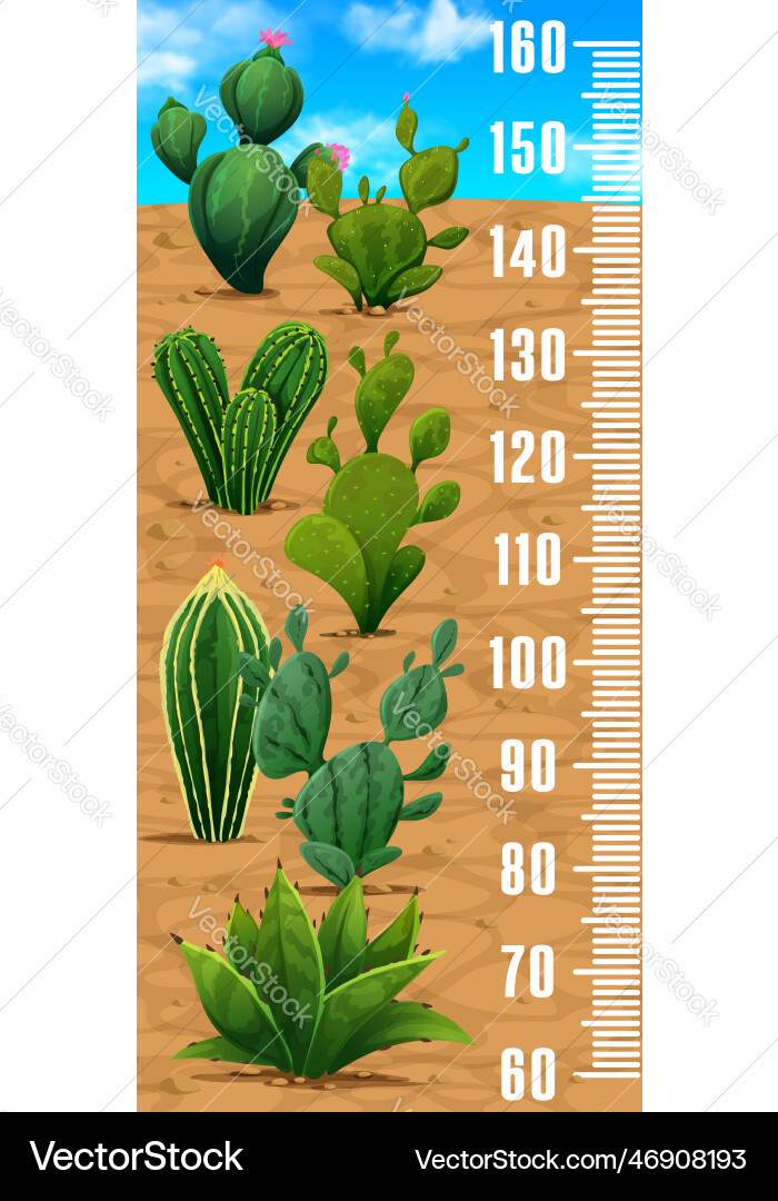 Kids height chart ruler with cactus succulents Vector Image