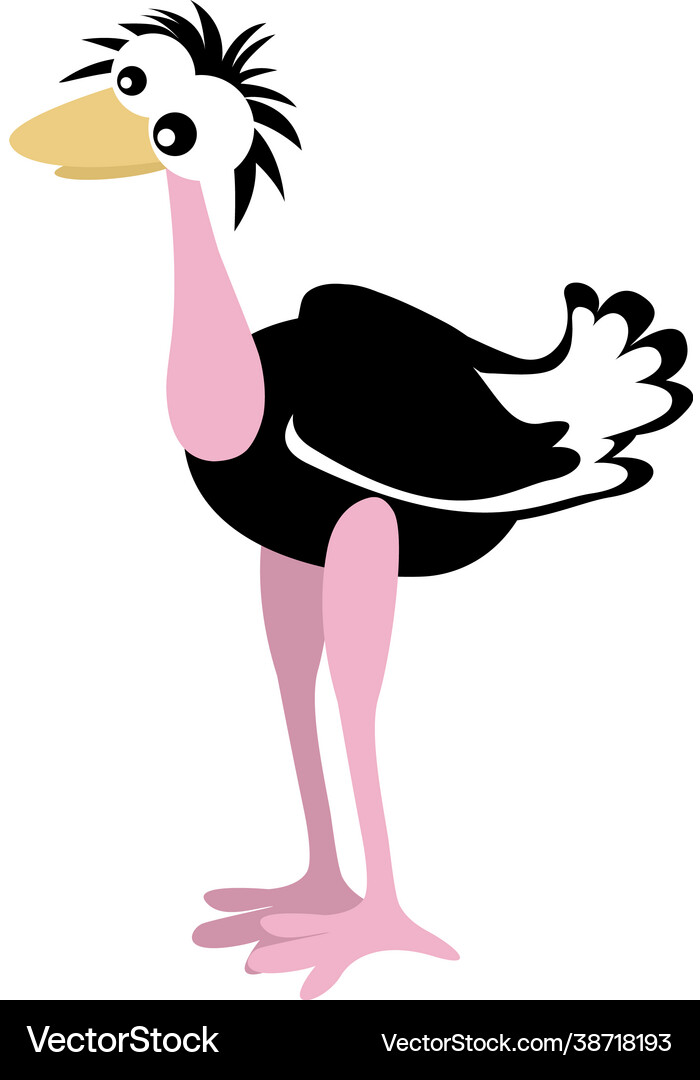 Ostrich in 2d cartoon style flat isolated Vector Image