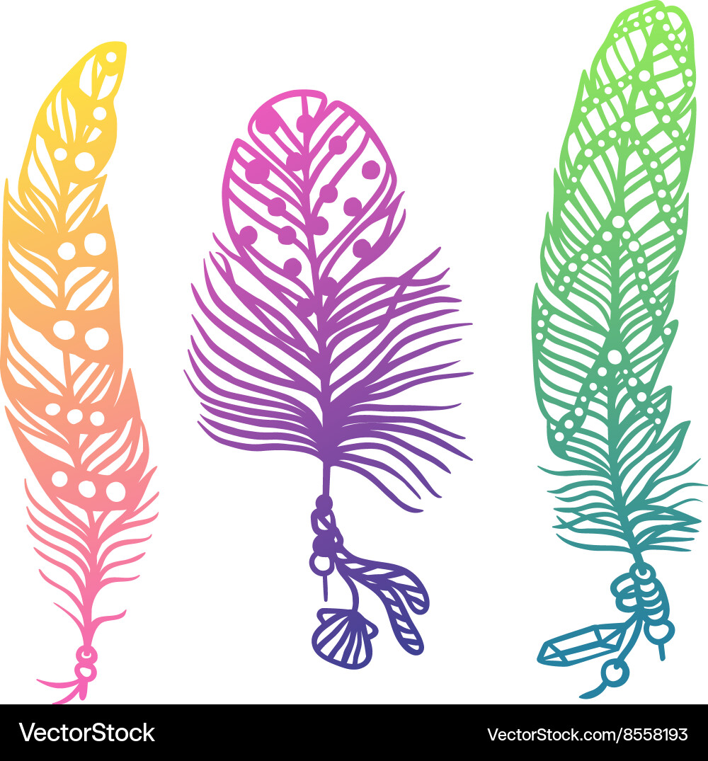 Tribal ethnic colorful feathers creative art Vector Image