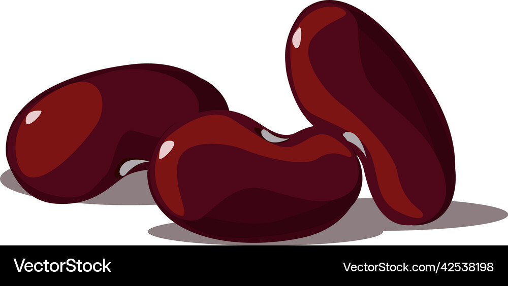 Beans legumes - isolated on white Royalty Free Vector Image