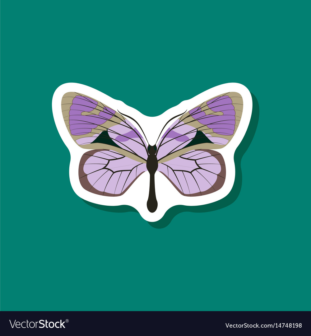 Butterfly Paper Sticker On Stylish Background Vector Image