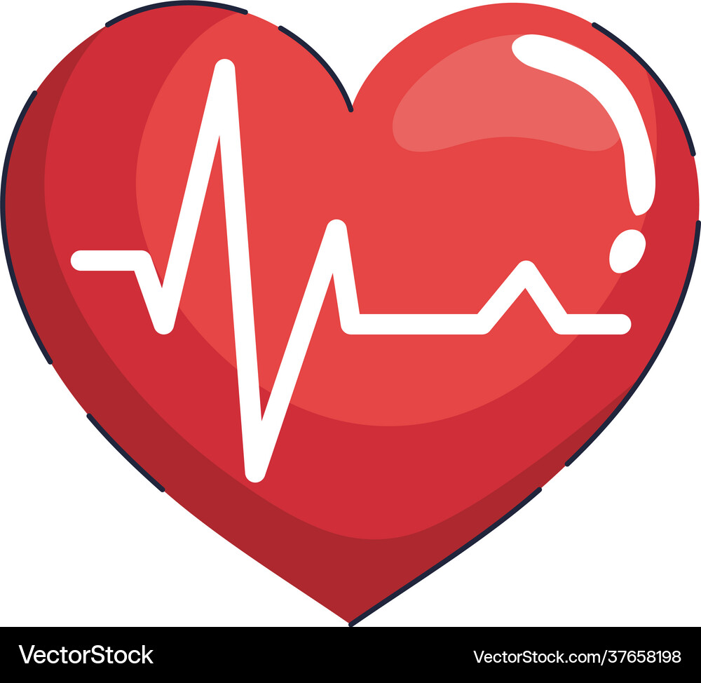 Heart cardiology icon Royalty Free Vector Image
