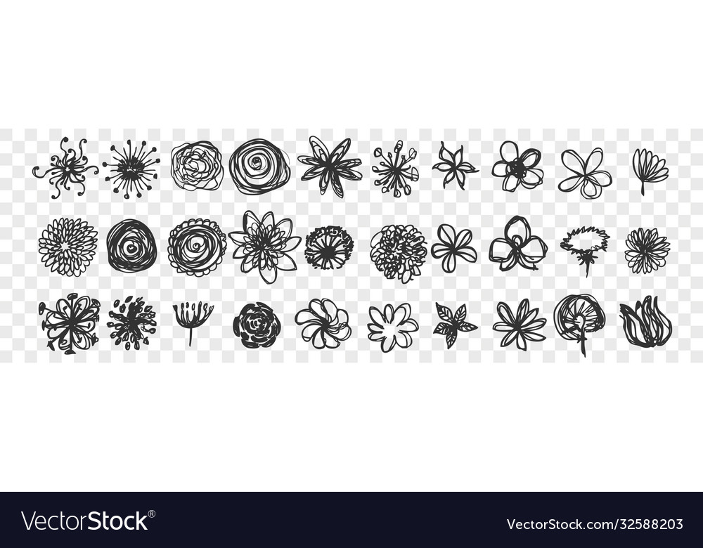 Hand drawn flowers doodle set Royalty Free Vector Image
