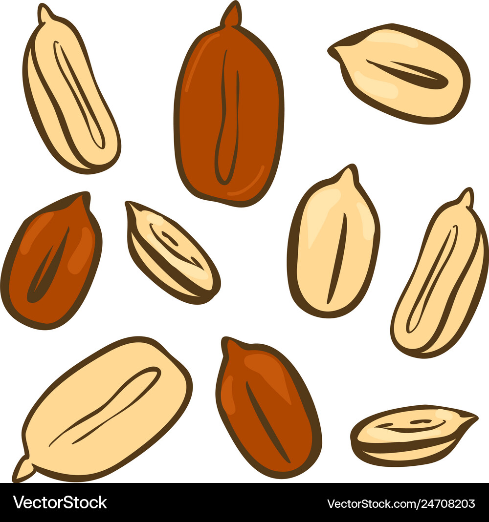 Peanut butter doodle icon cartoon Royalty Free Vector Image