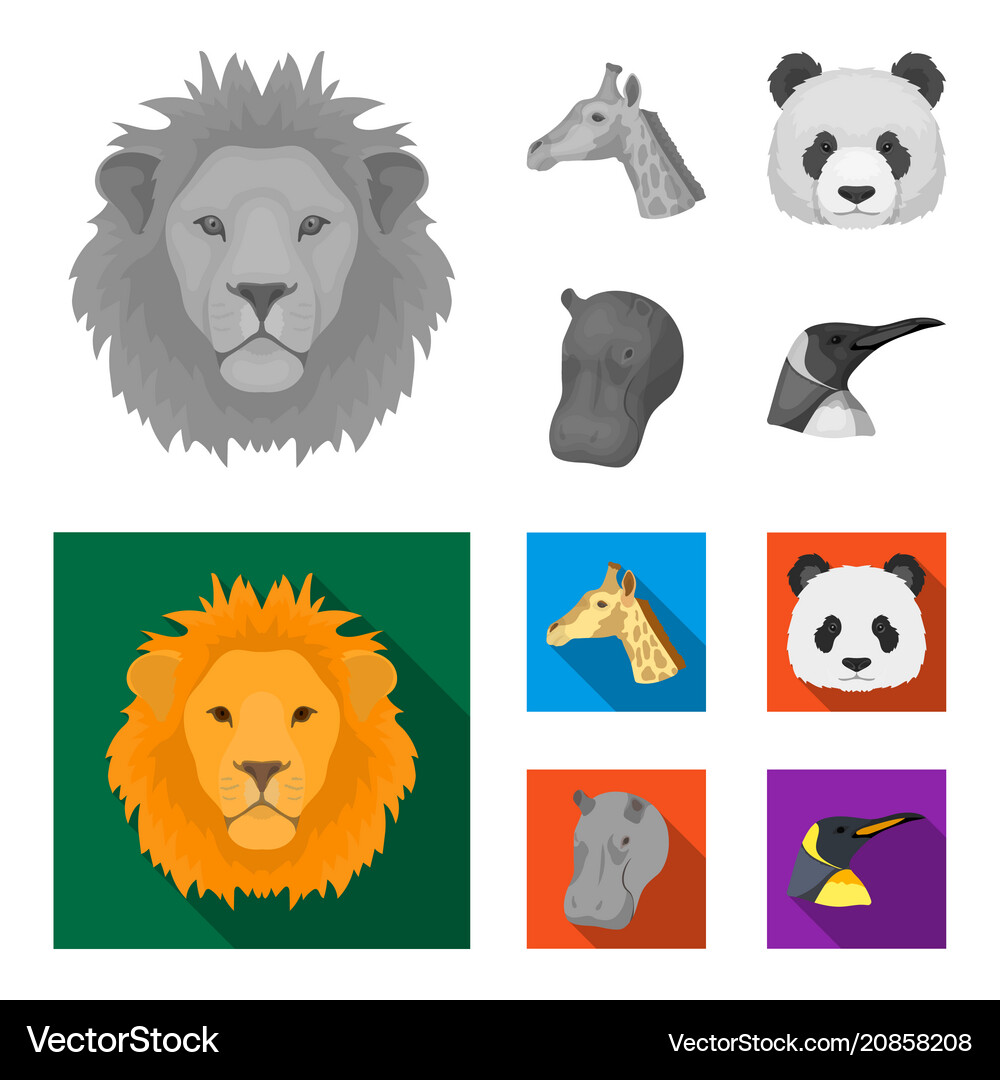 Panda giraffe hippopotamus penguin realistisch Vektorbild