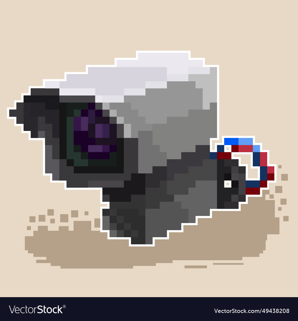 Security camera pixel art Royalty Free Vector Image