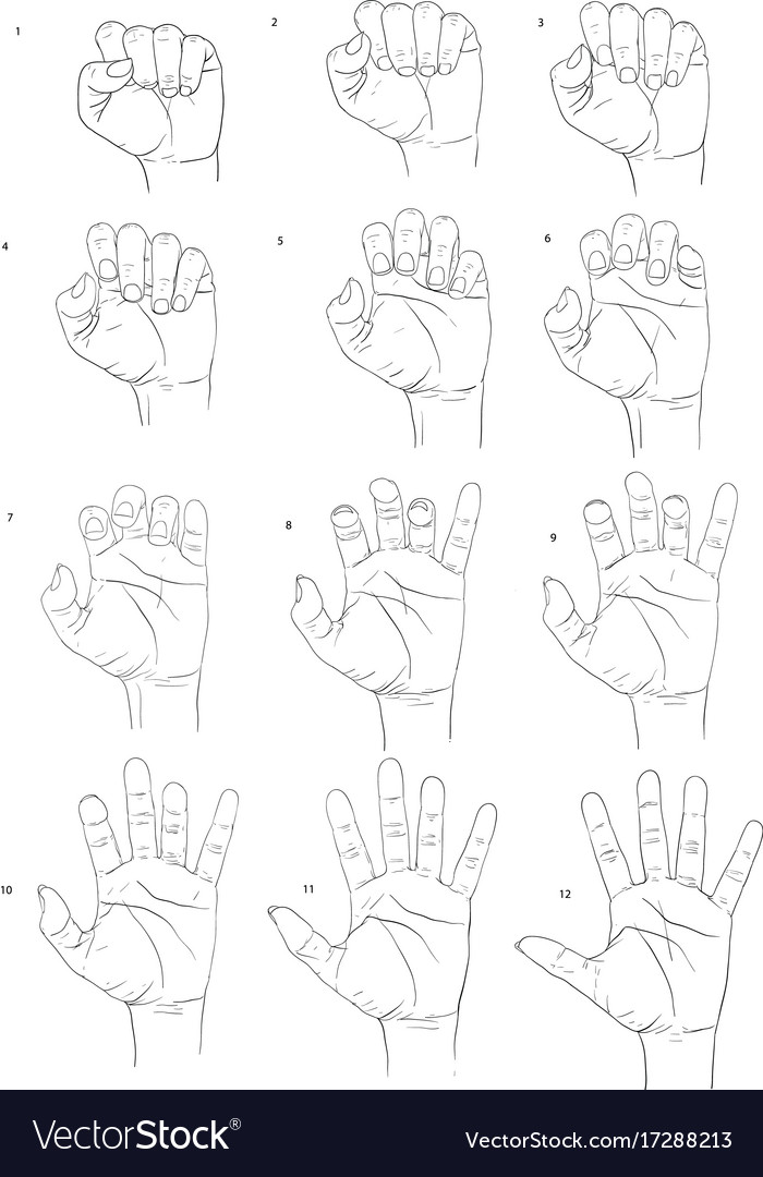 Bare hand Royalty Free Vector Image - VectorStock