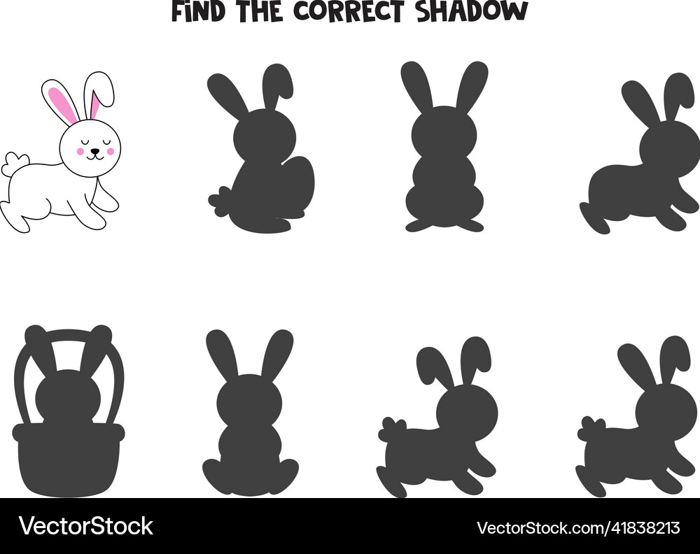 Find the correct shadow of cute easter bunny Vector Image