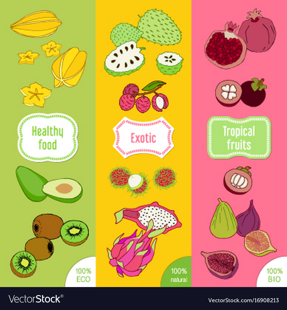 Fruits patterns Royalty Free Vector Image - VectorStock