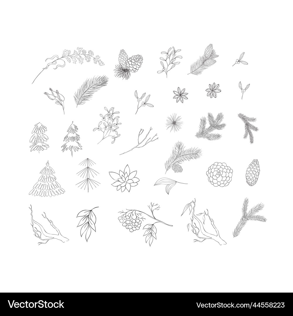 Hand drawn plant branches winter plants set Vector Image