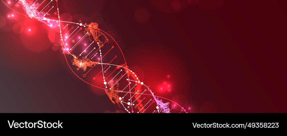 Science template wallpaper or banner with a dna Vector Image