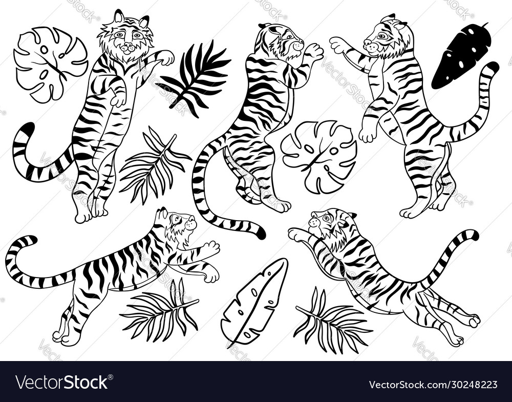 Set jumping tigers isolated on a white Royalty Free Vector