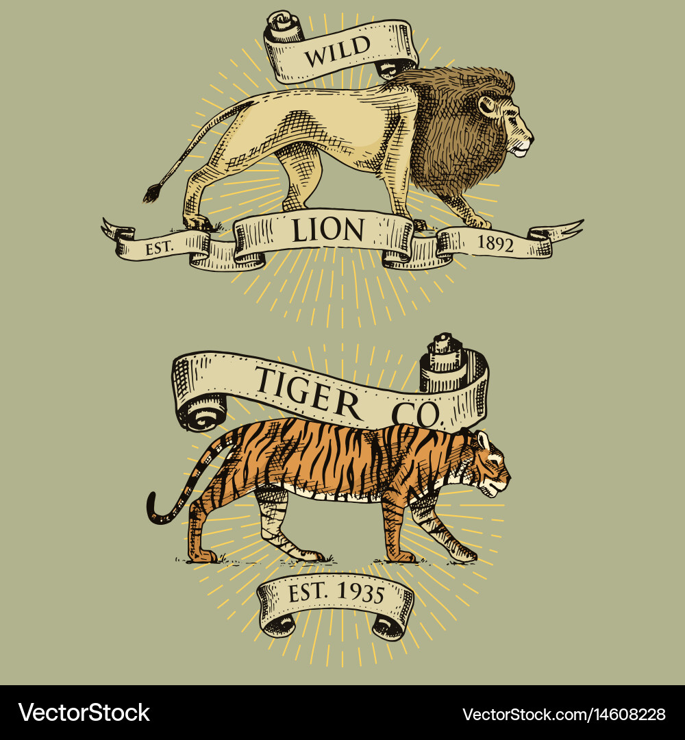 Lion and tiger logos emblems or badges with wild Vector Image