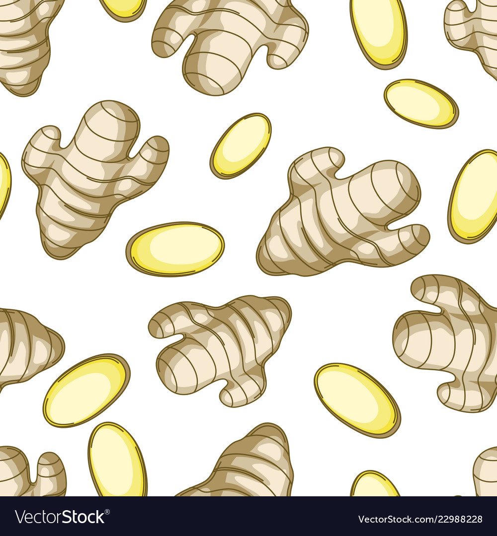 Seamless pattern with ginger Royalty Free Vector Image