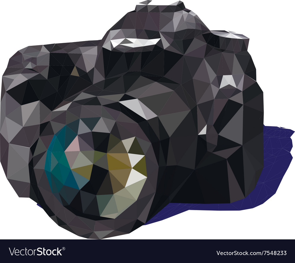 Camera triangle Royalty Free Vector Image - VectorStock