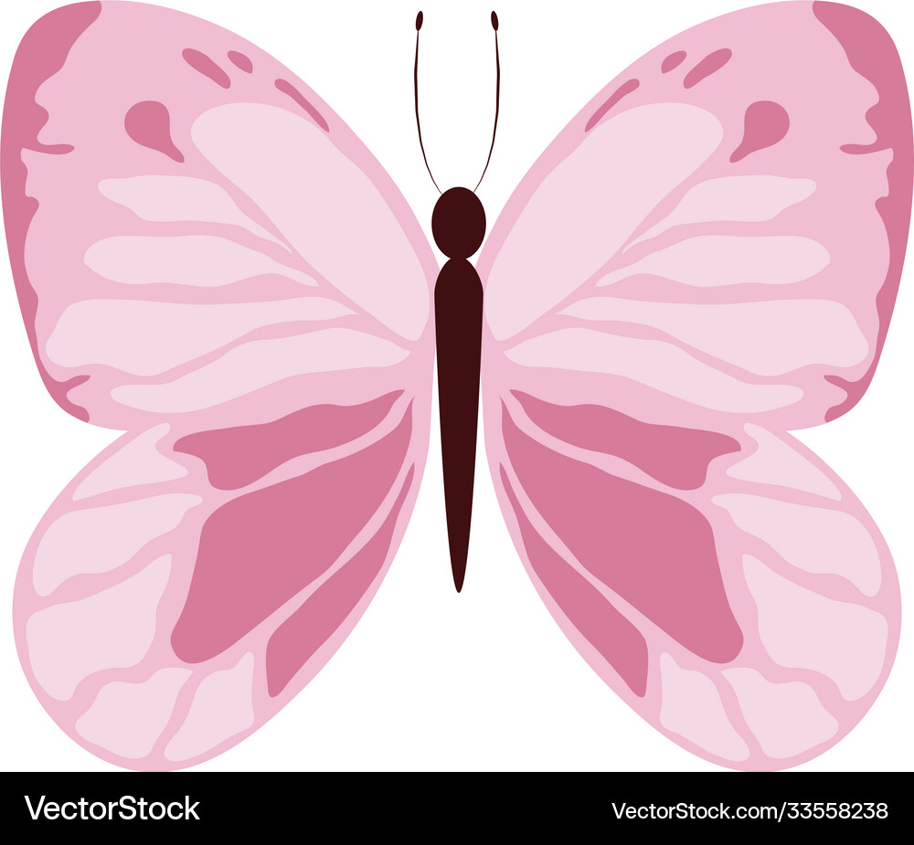 Pink beautiful butterfly delicate insect isolated Vector Image