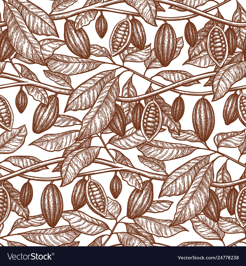 Seamless pattern with cocoa Royalty Free Vector Image
