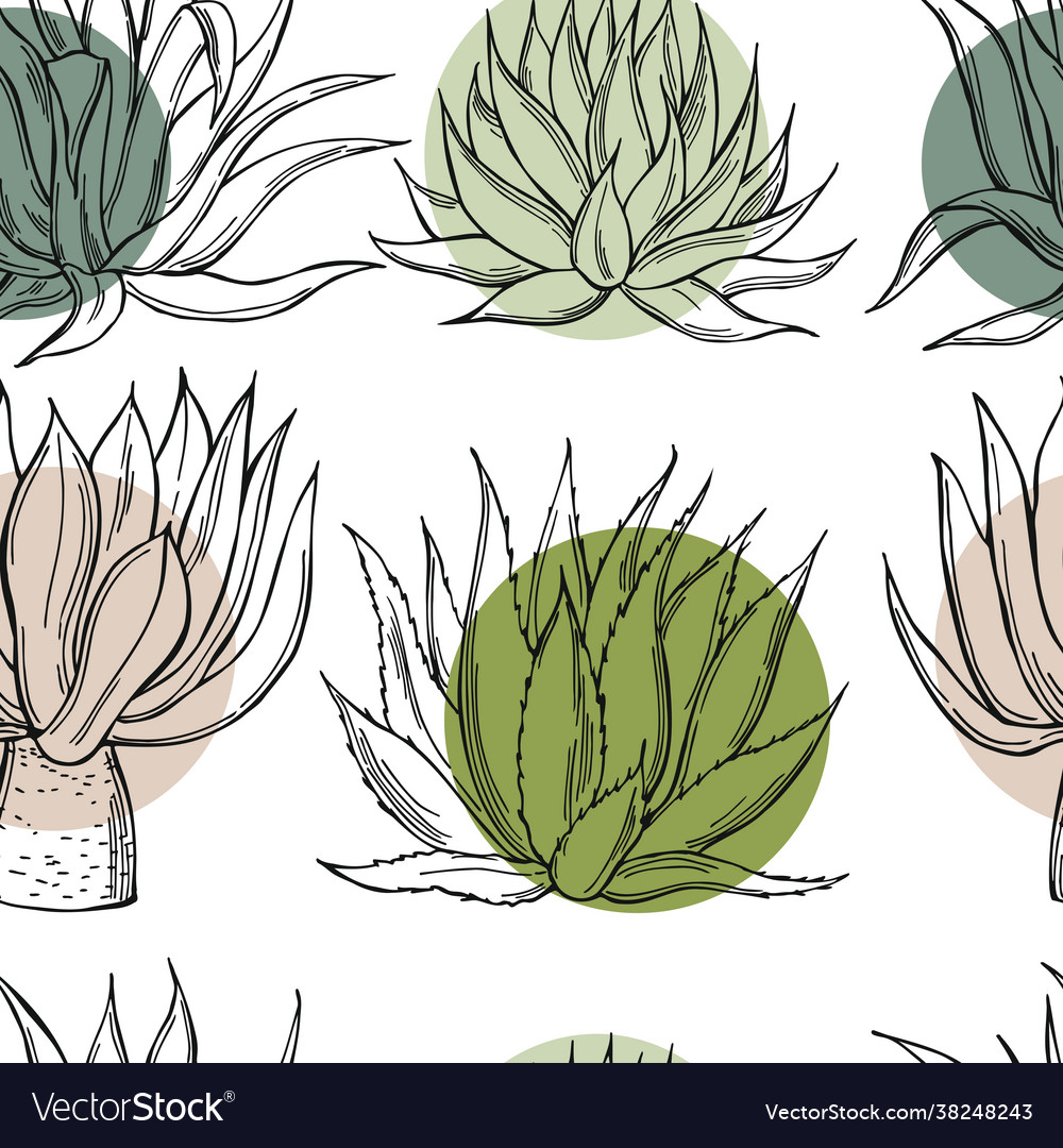Agave pattern Royalty Free Vector Image - VectorStock