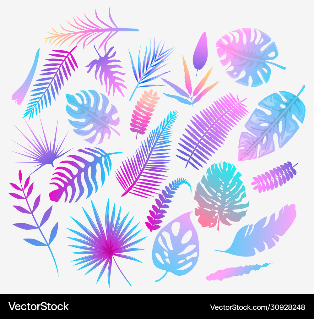Set tropical fern leaves Royalty Free Vector Image