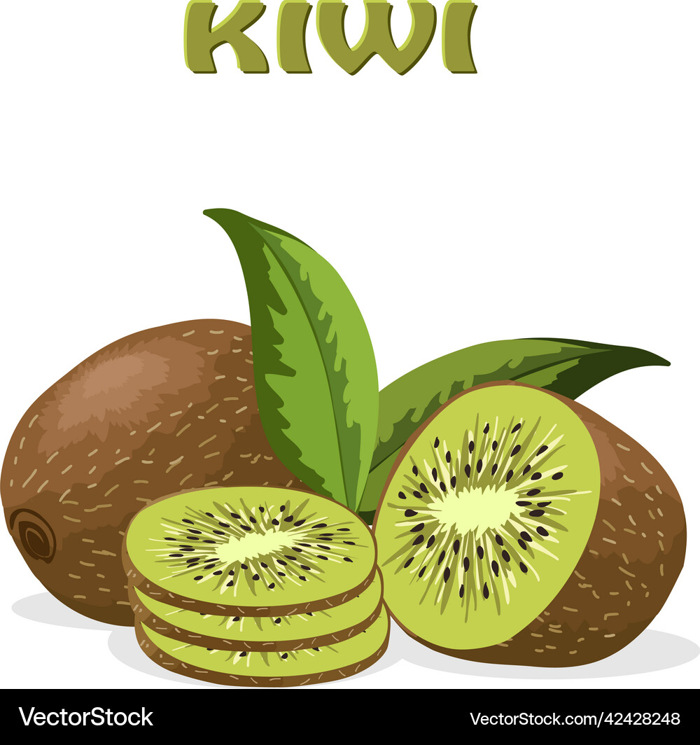 Whole and cut ripe kiwi Royalty Free Vector Image