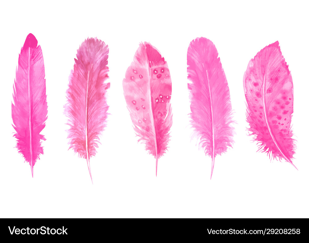 Hand drawn watercolour bird pink feathers set Vector Image