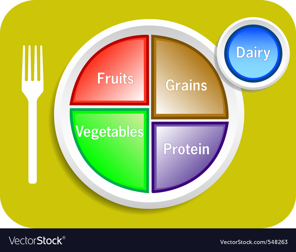 Food pyramid Royalty Free Vector Image - VectorStock