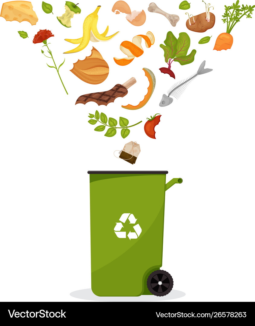 Food Waste Collection Cartoon Royalty Free Vector Image