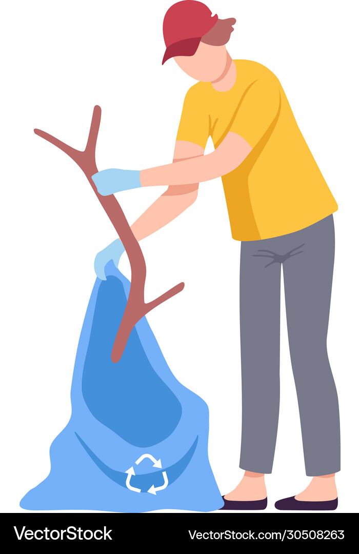 Man collecting wooden branches into plastic bag Vector Image