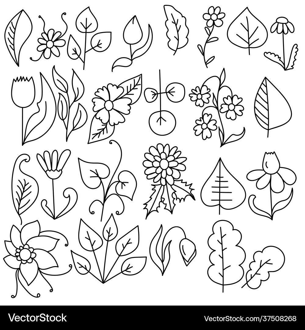 Doodle flowers and leaves set botanical Royalty Free Vector