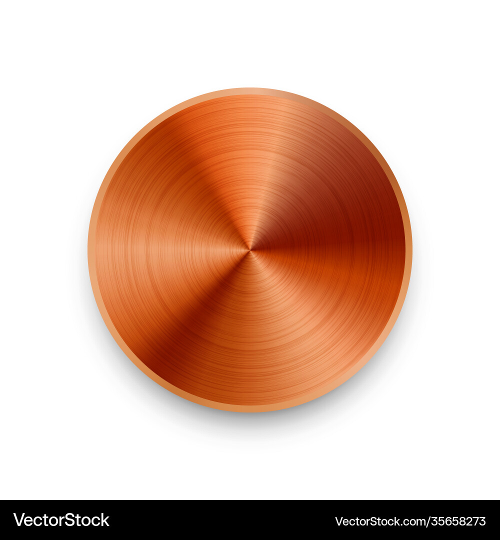 Realistic metal chrome button silver steel volume Vector Image