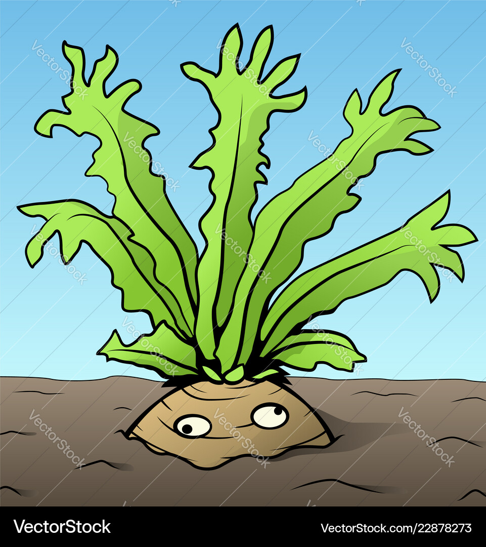 Root vegetable arms cartoon Royalty Free Vector Image