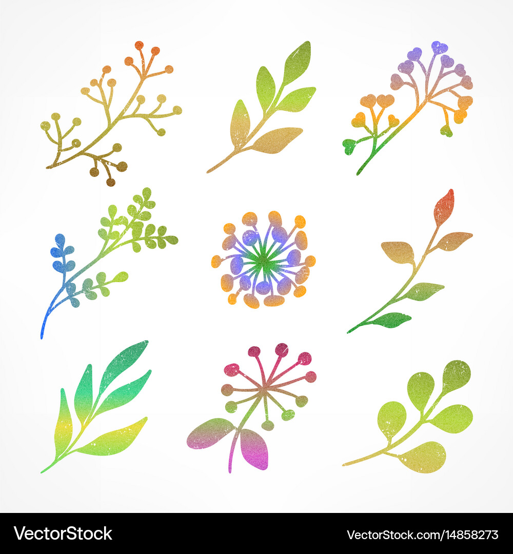 Set of color branch Royalty Free Vector Image - VectorStock