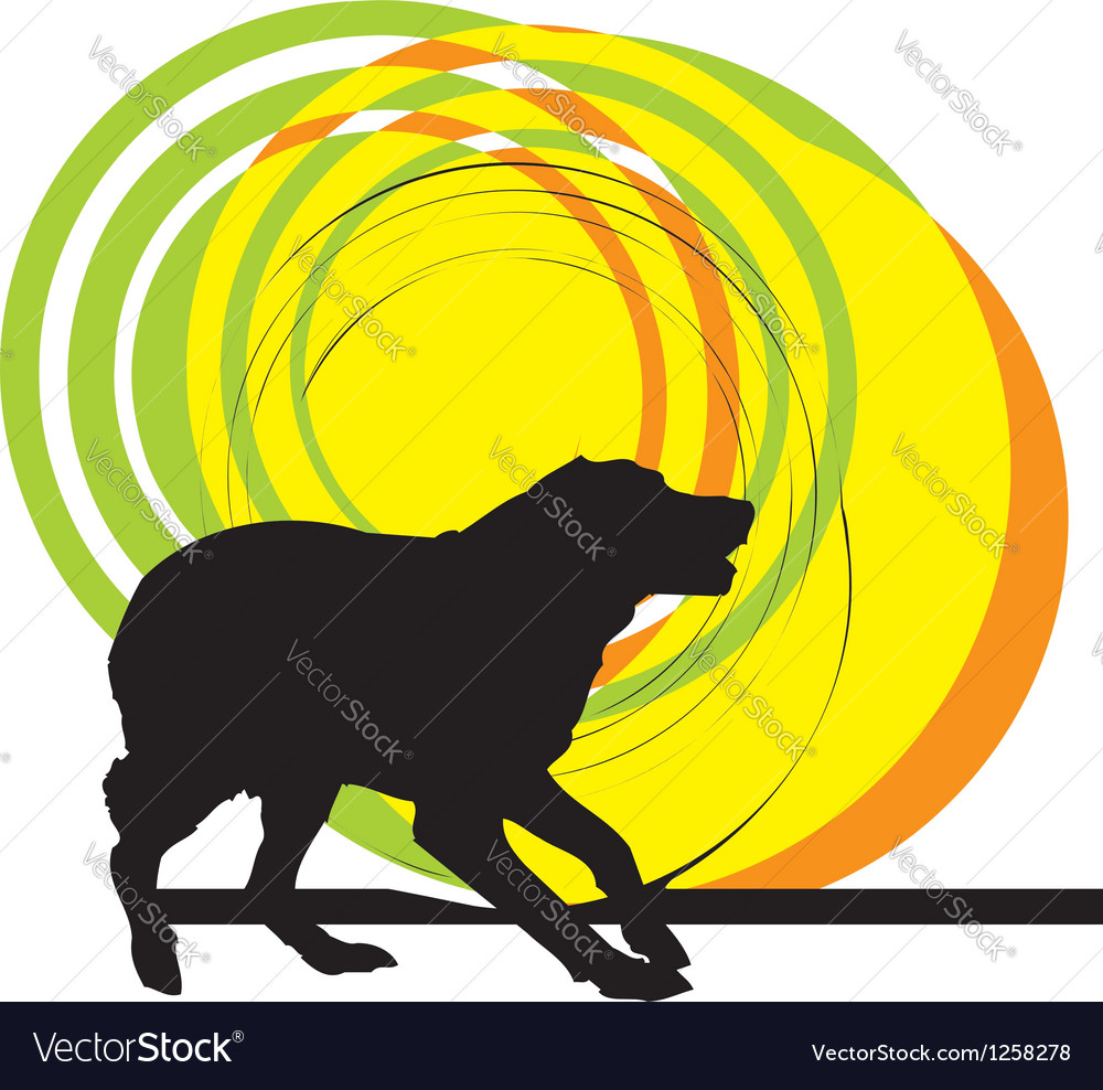 Dog Royalty Free Vector Image - VectorStock