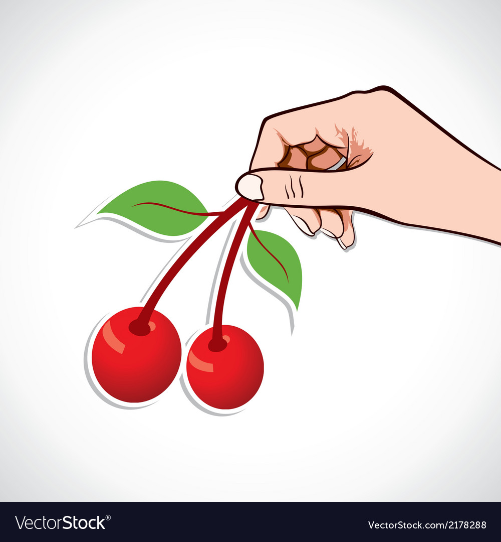 Cherry in hand Royalty Free Vector Image - VectorStock