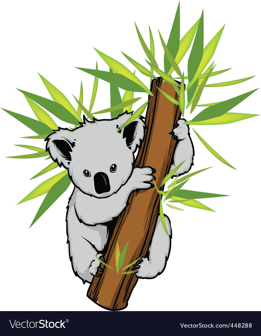 Koala Royalty Free Vector Image - VectorStock