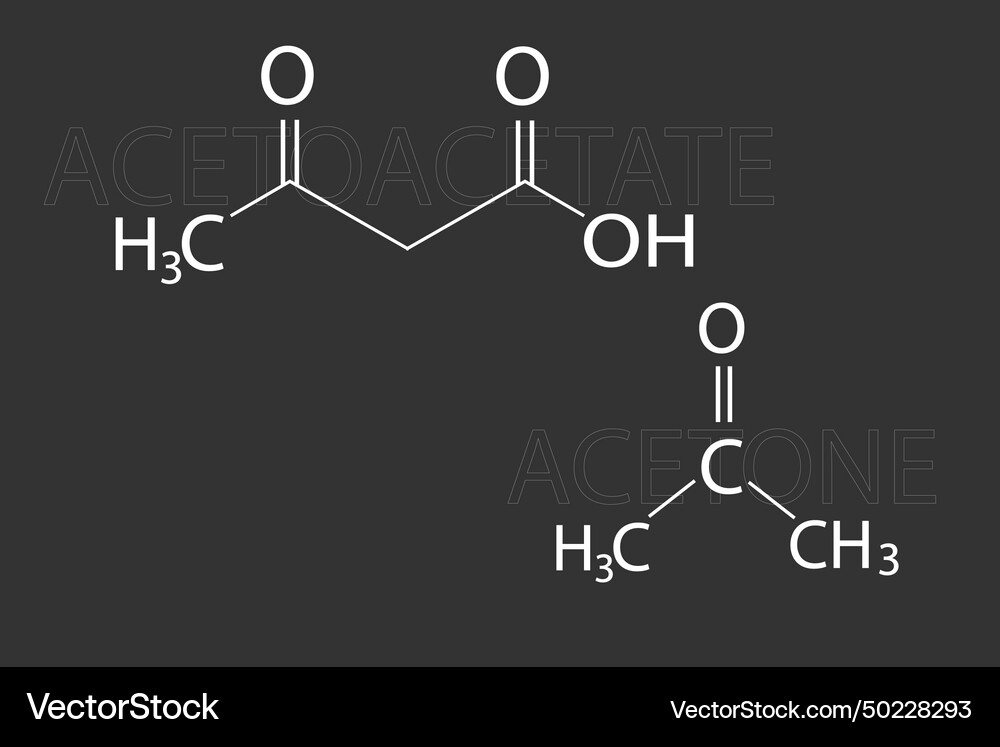 Cholecalciferol ergocalciferol chemical formula Vector Image