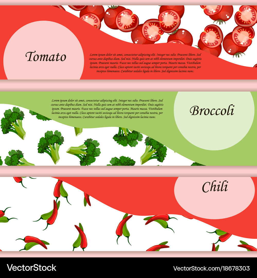 Vintage poster template for tomato label Vector Image