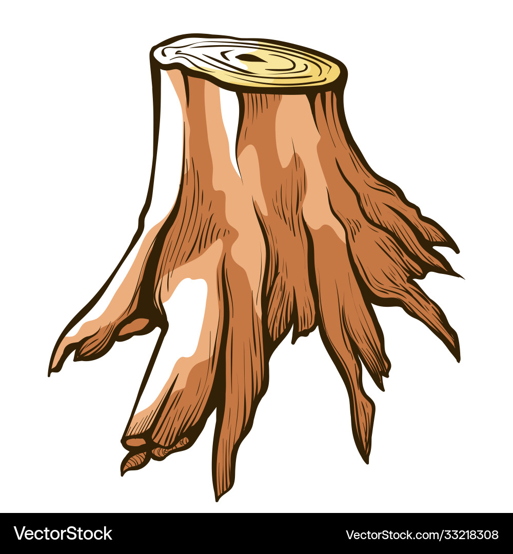 Tree Trunk Drawing