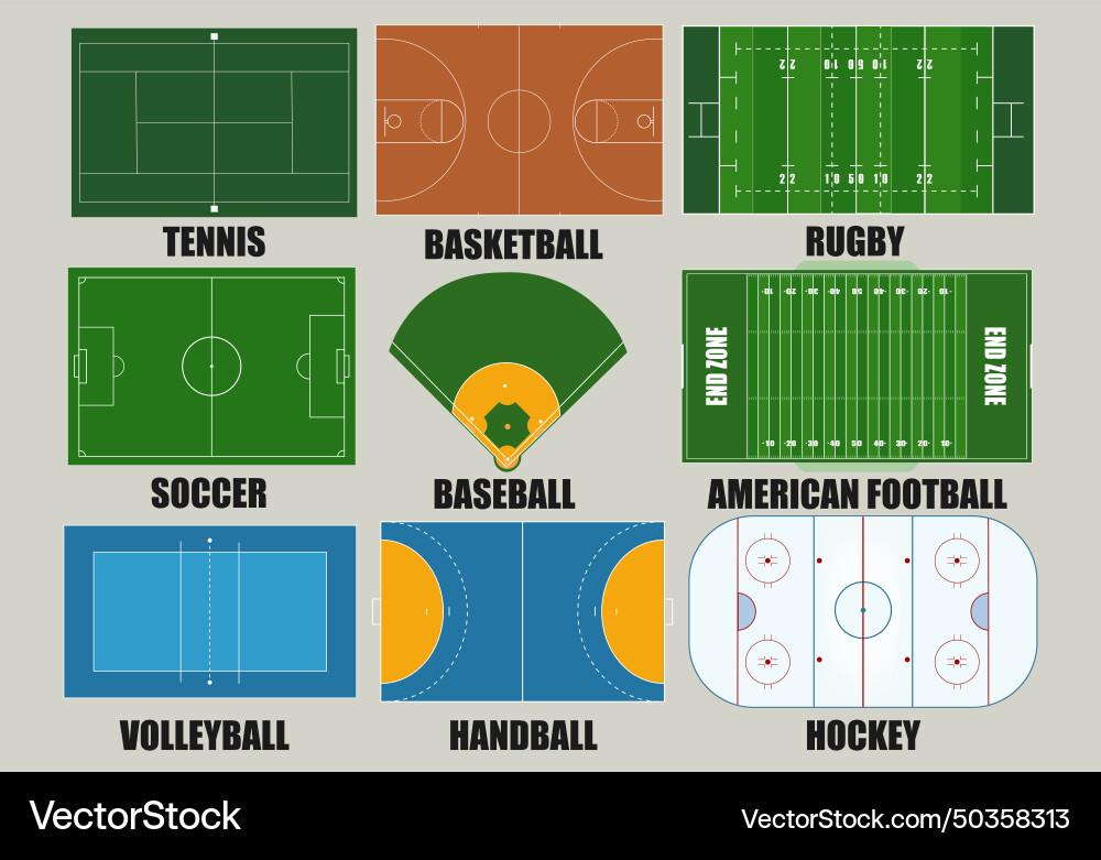 Creative of sport game color fields Royalty Free Vector