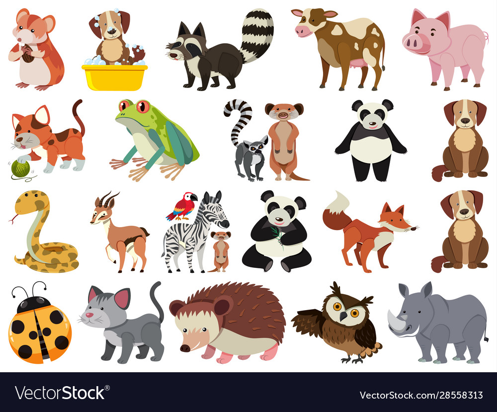 Set isolated objects theme animals Royalty Free Vector Image