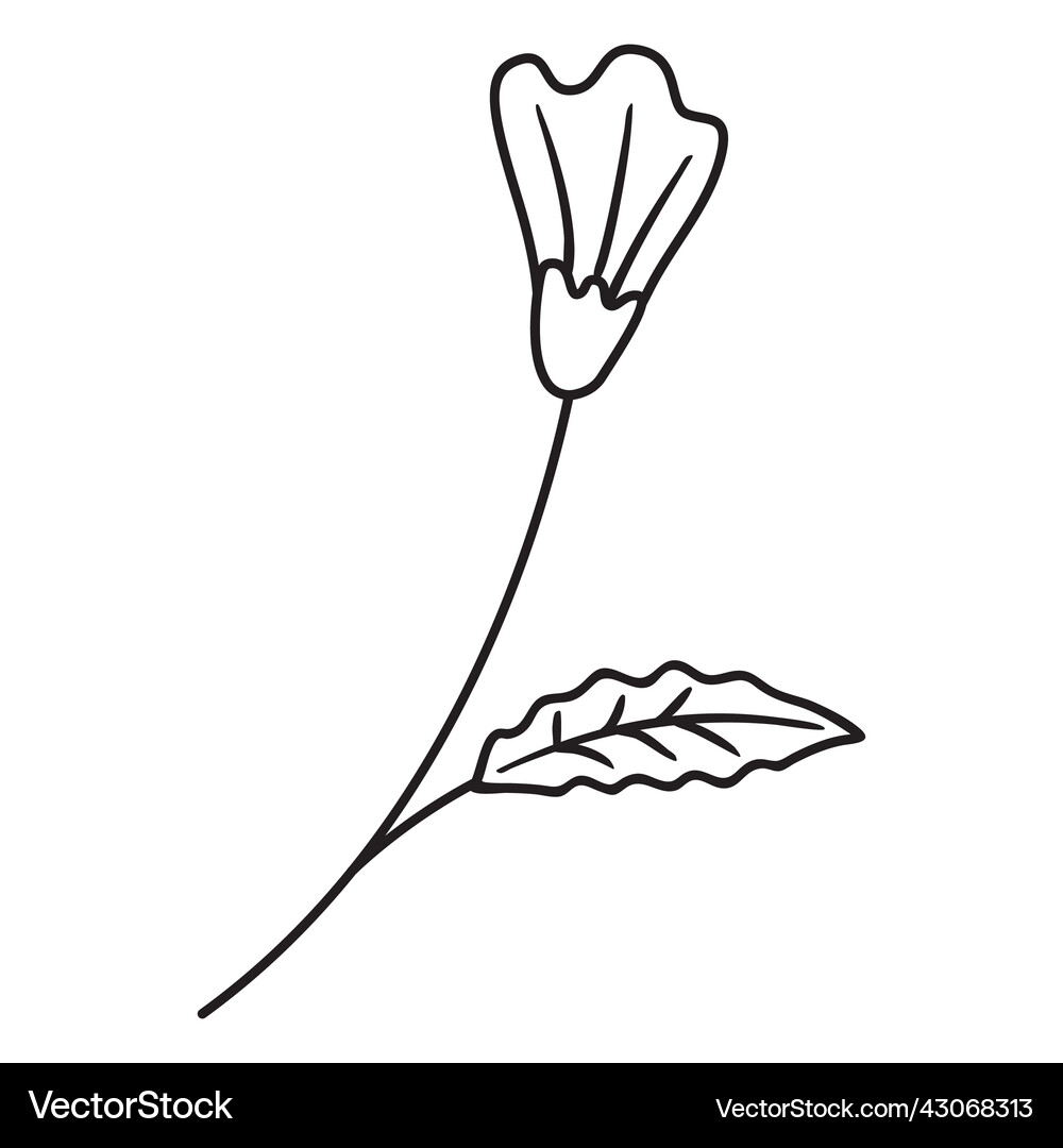 Spring flower leaf small stroke Royalty Free Vector Image