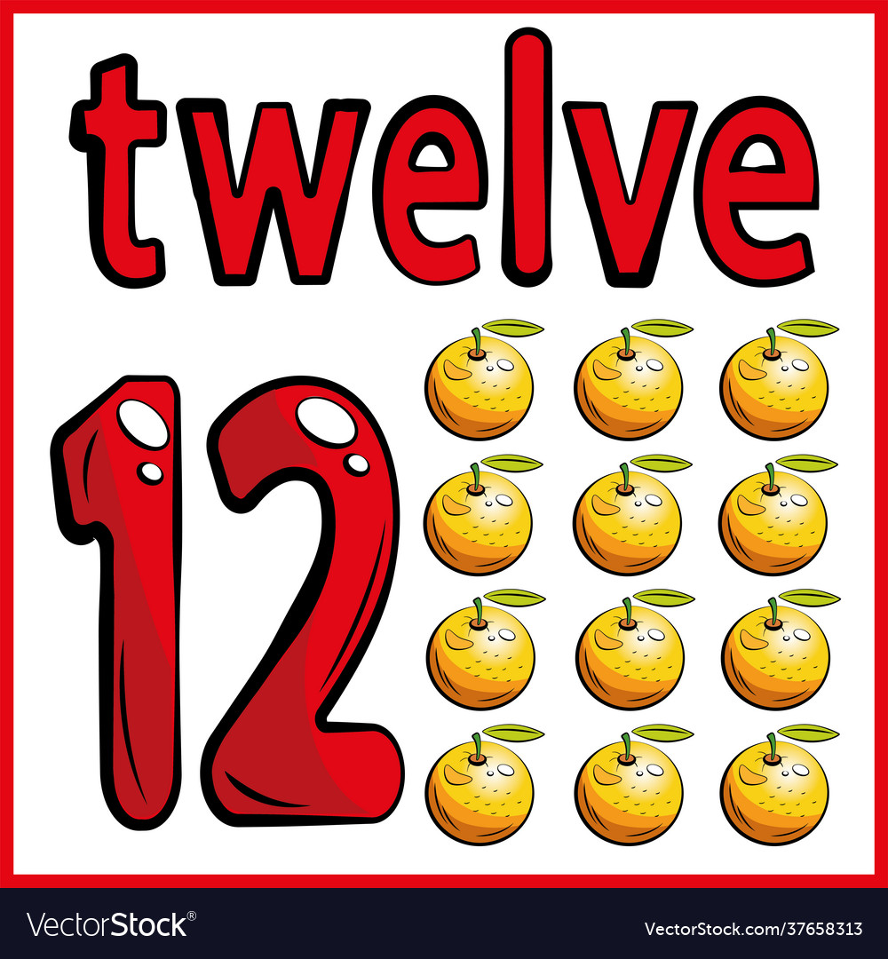 Twelve oranges Royalty Free Vector Image - VectorStock