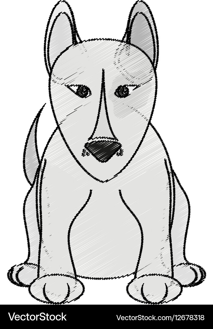 Animal cartoon icon Royalty Free Vector Image - VectorStock