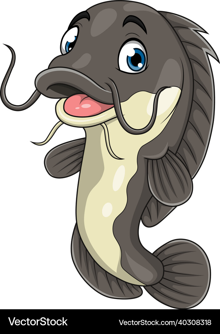 Cartoon catfish posing on white background Vector Image