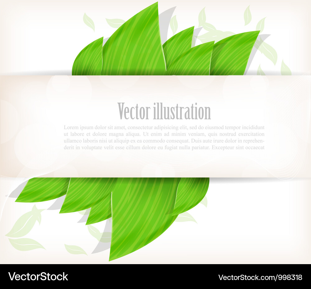 Green Leaf Background Royalty Free Vector Image