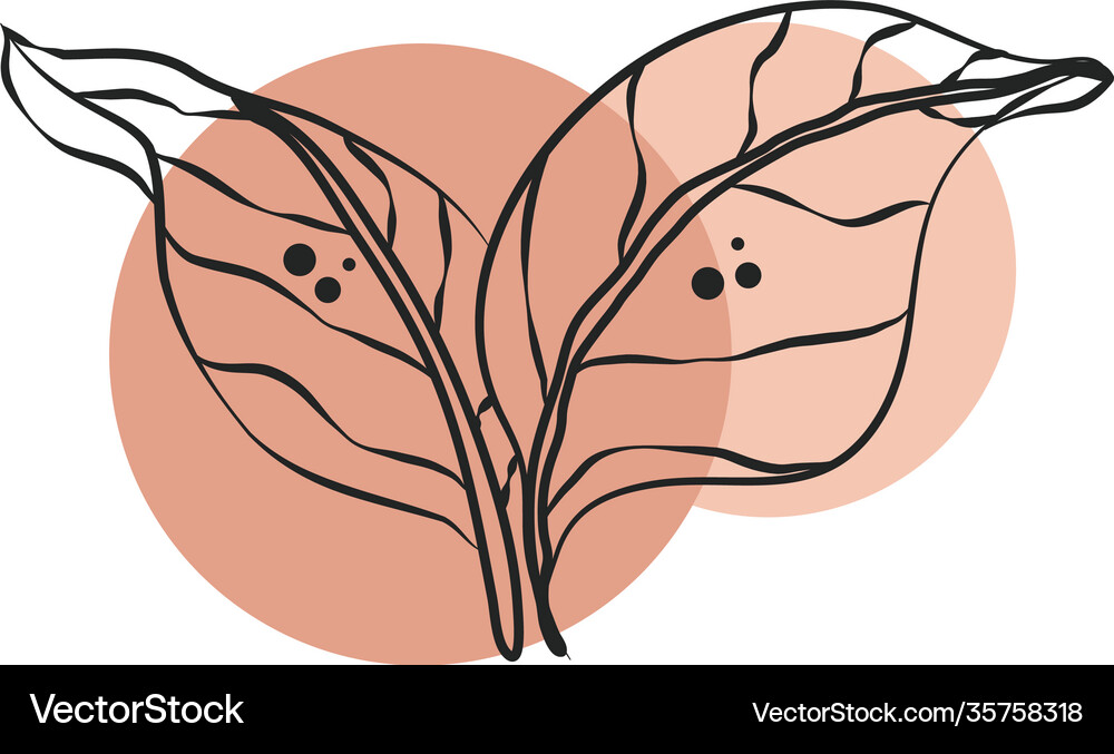 Leaves foliage nature texture line art Royalty Free Vector