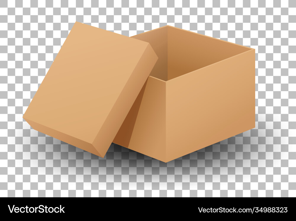Cardboard box opened isolated cartoon style Vector Image