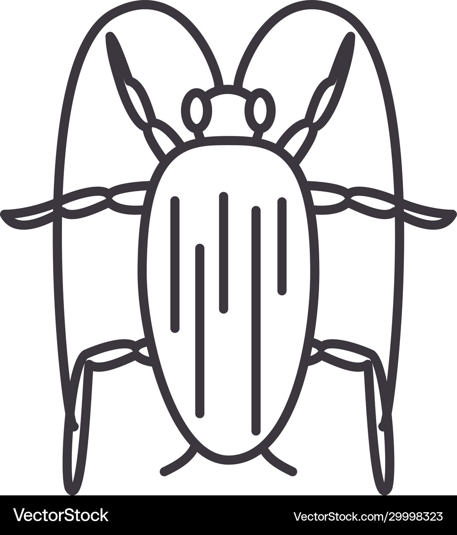 Cockroach insect line detail style icon Royalty Free Vector