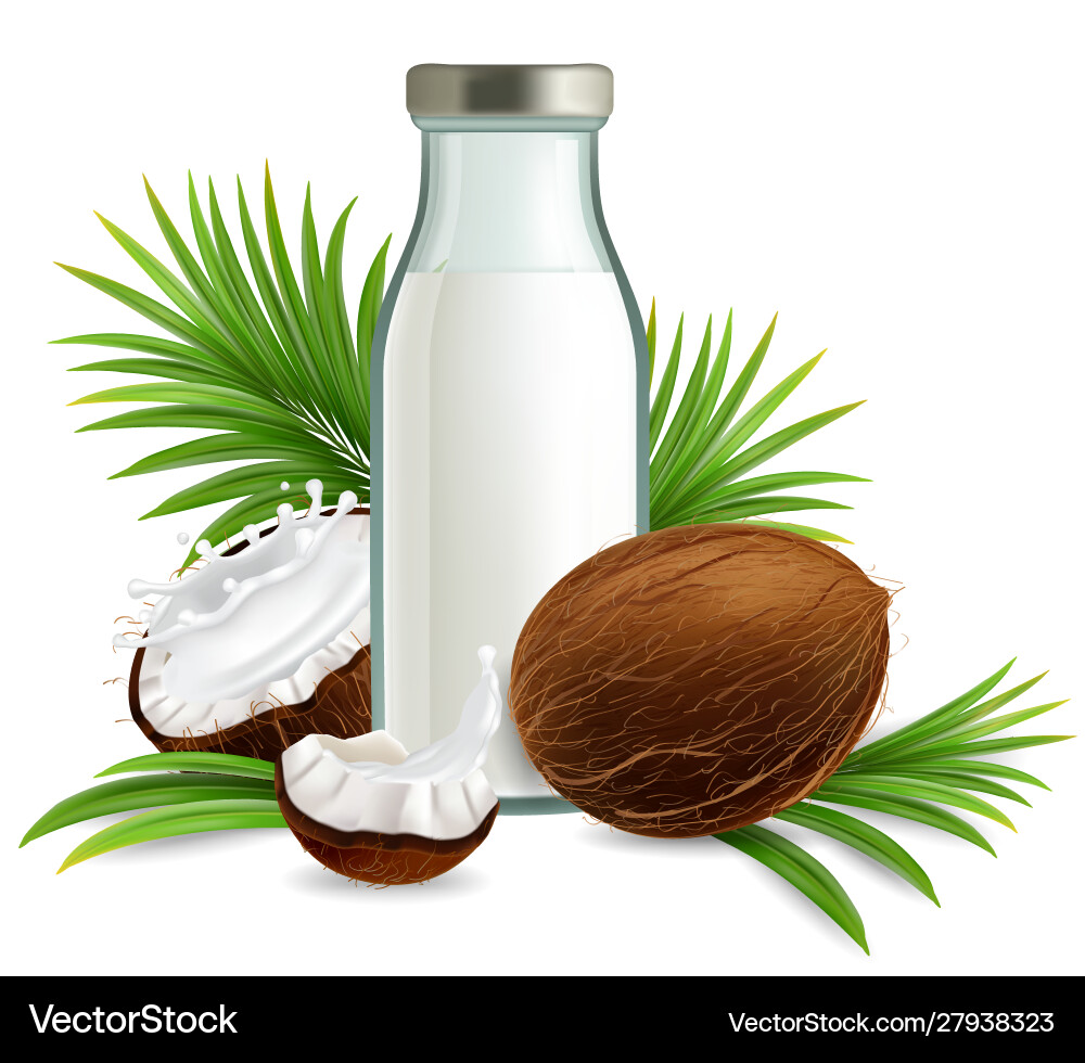 Organic non dairy coconut milk realistic Vector Image